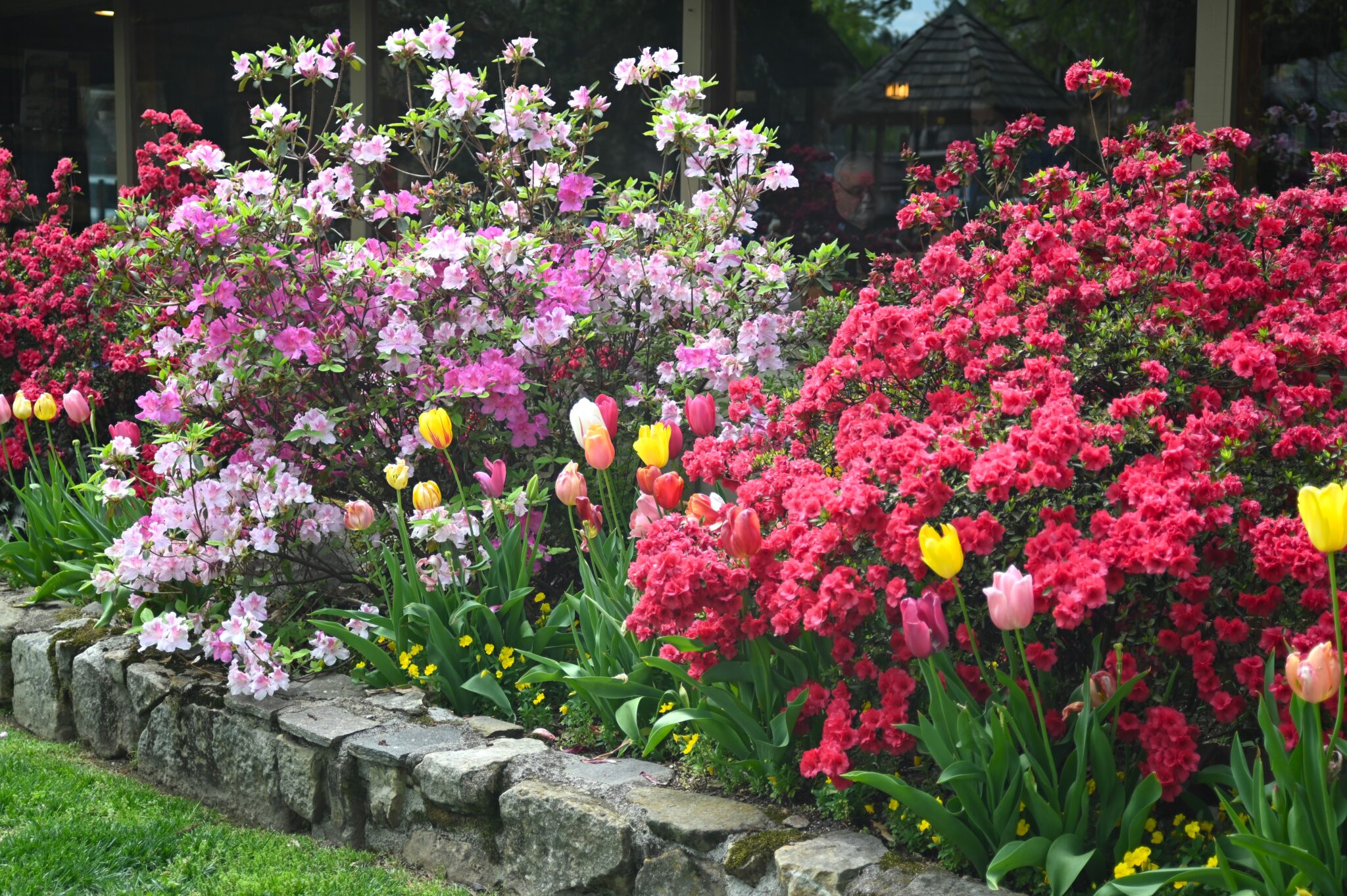 The Official Visitor's Guide - Pigeon Forge Chamber of Commerce